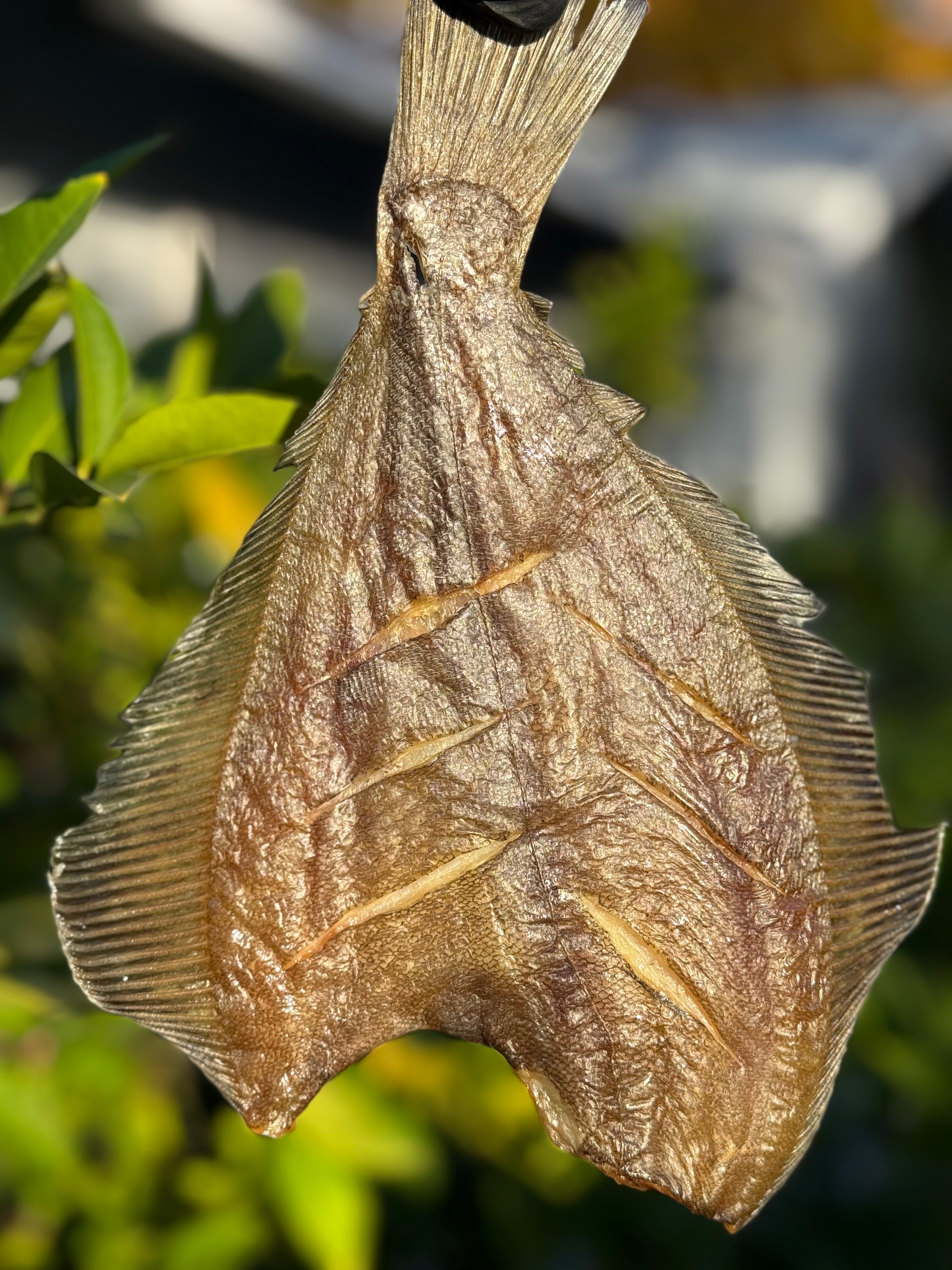 Dried Flounder (Kambala) – Fish.Snacks.USA